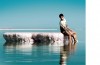 Heat Control: Omer Dror Travels to the Dead Sea for Da Man Magazine ...